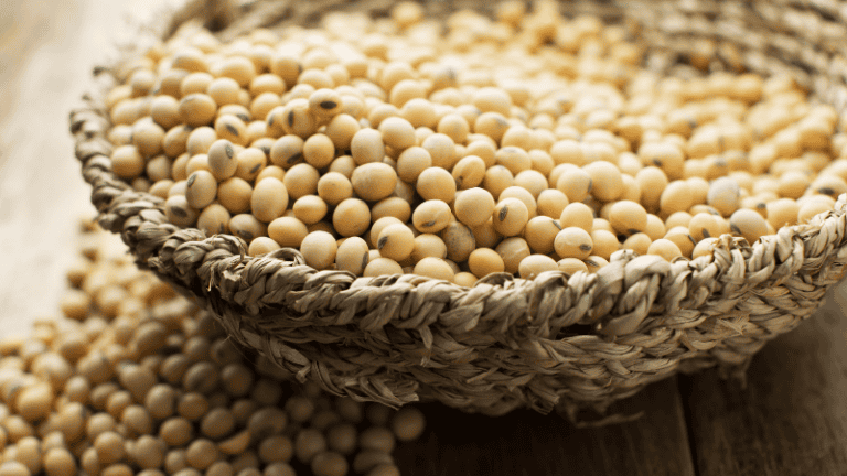 Soy Ink Printing: Vibrant & Sustainable Ink Solution